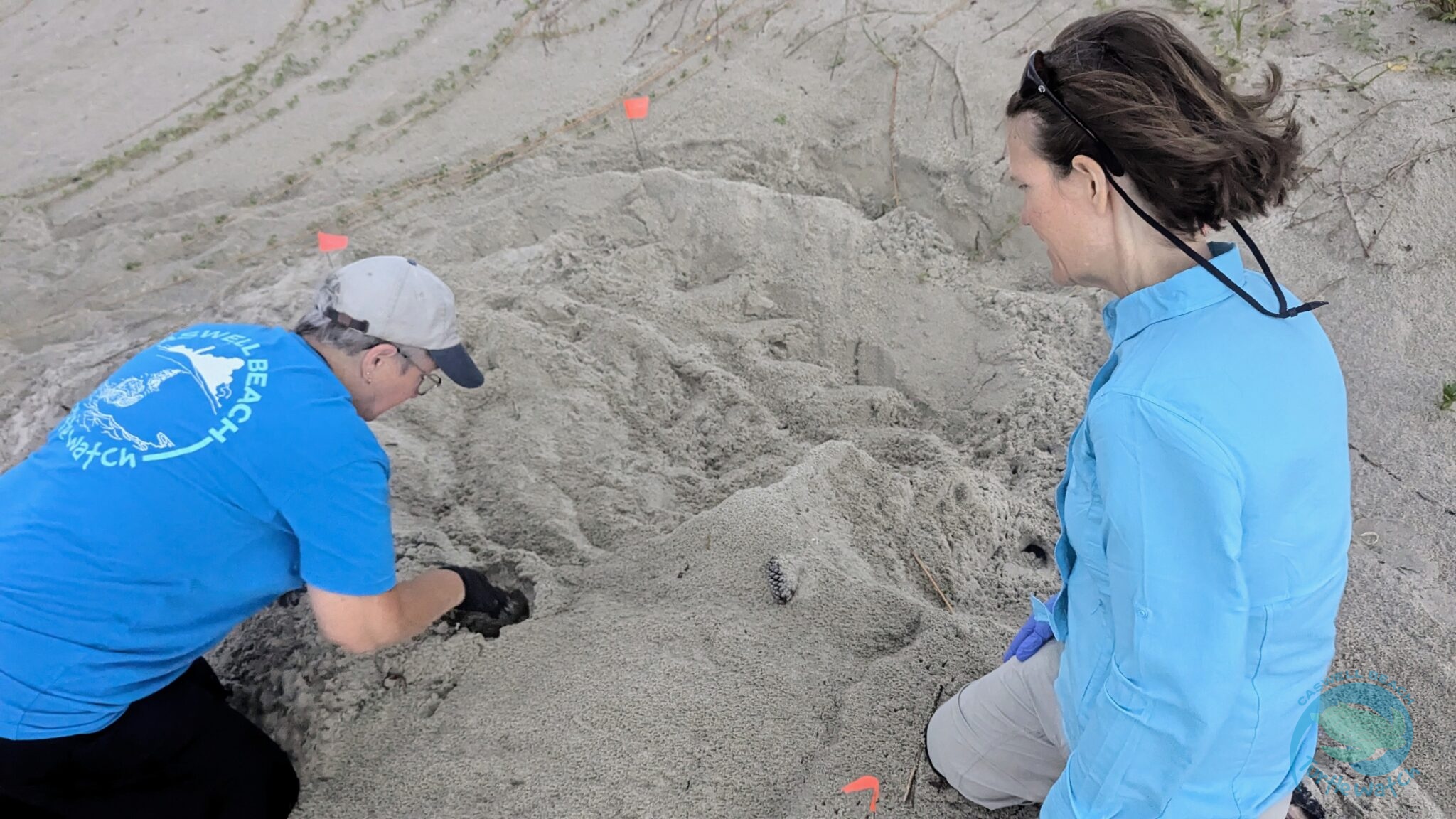 Stormy Weather Not Stopping Sea Turtles or Our Team! - Caswell Beach ...